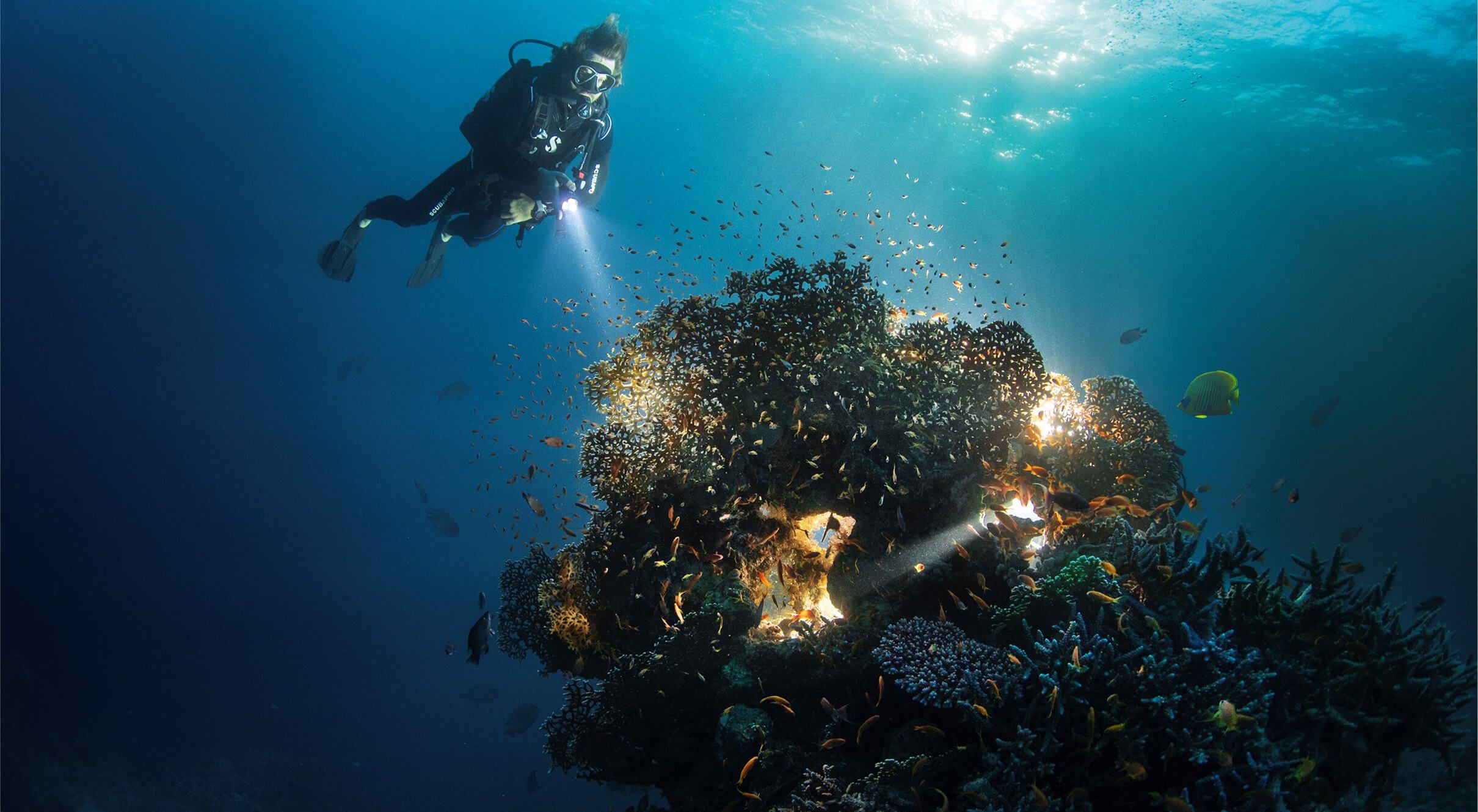 Thuwal - Private Retreat